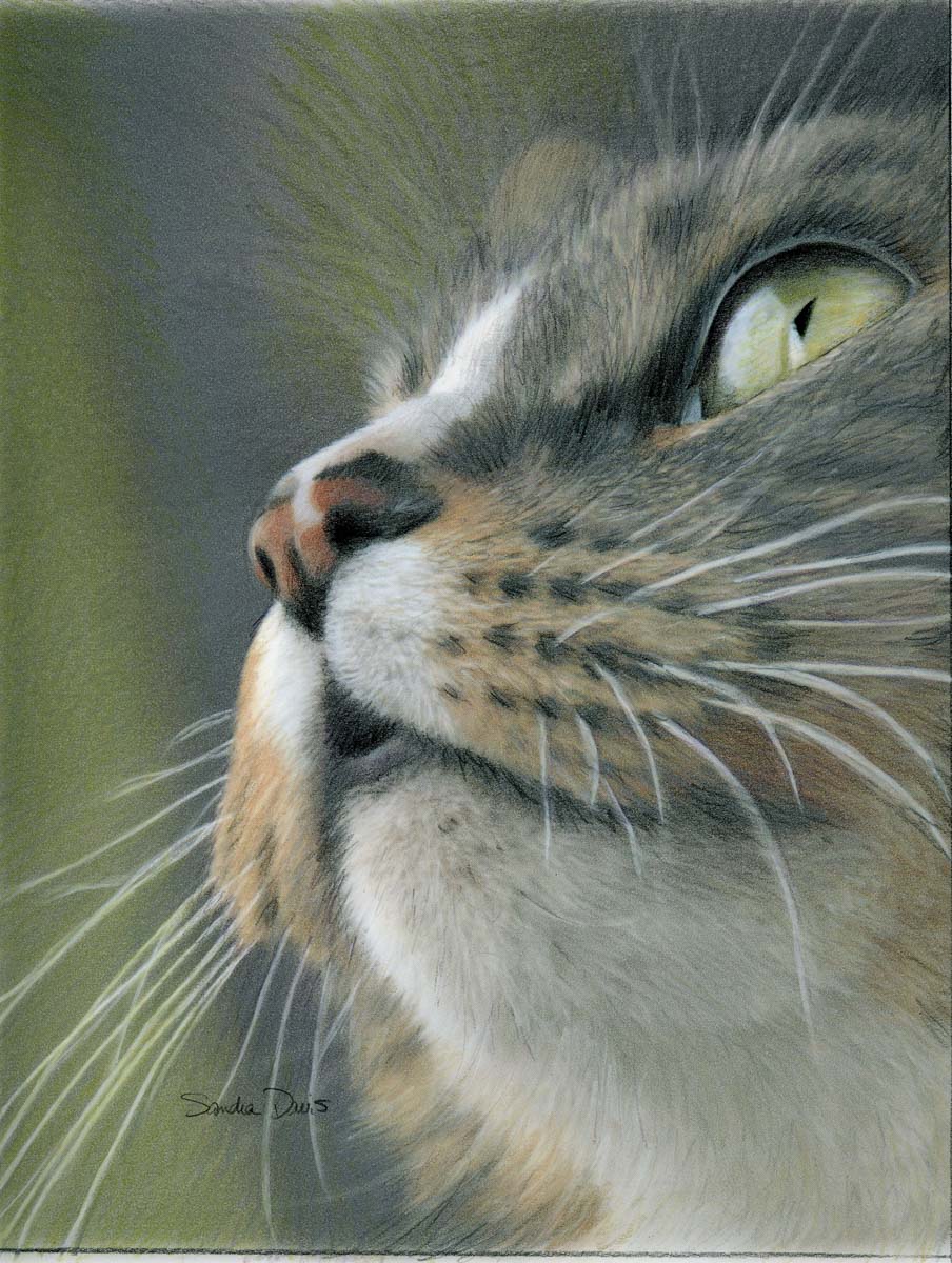 Early Love Of Crayons Began Art Career For Sandra Davis - Neighborhood ...