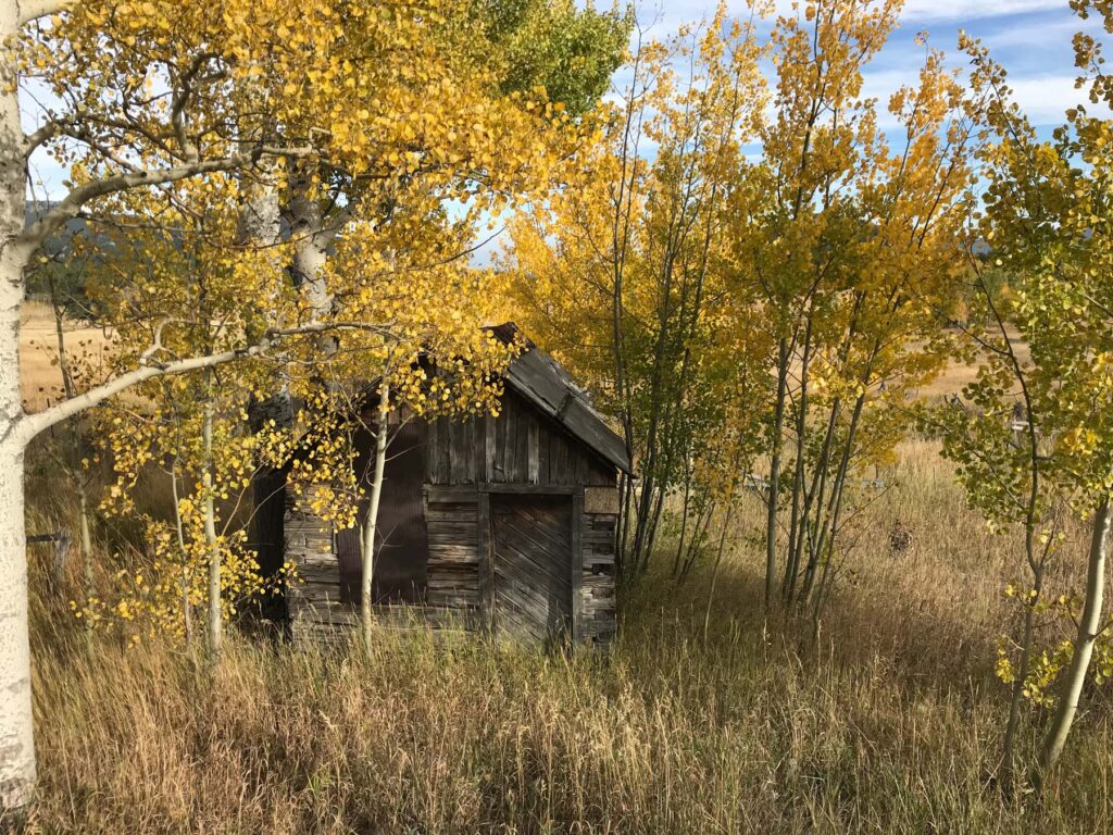 Year-Round Recreation For All At Golden Gate Canyon State Park ...