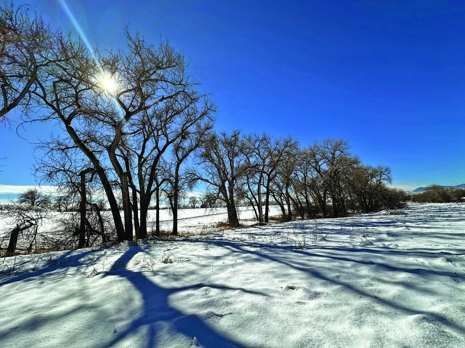 Wheat Ridge Archives - Neighborhood Gazette in Wheat Ridge, CO
